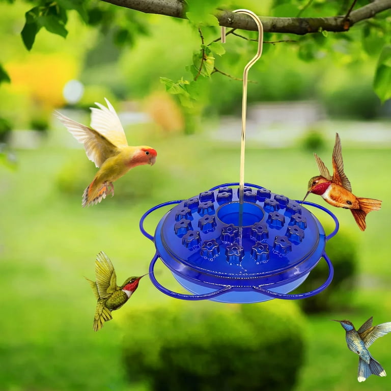 Mangeoire Colibri Verre Hangable Hummingbird Feeder With Ant Moat ...