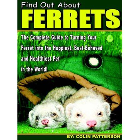 Find Out About Ferrets: The Complete Guide to Turning Your Ferret Into ...