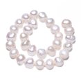 6 Strand Natural Cultured Freshwater Pearl Beads Strands Seashell Color ...