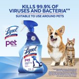 Lysol Pet Solutions –Disinfecting Cleaner, Citrus Blossom Scent, 32 FL ...