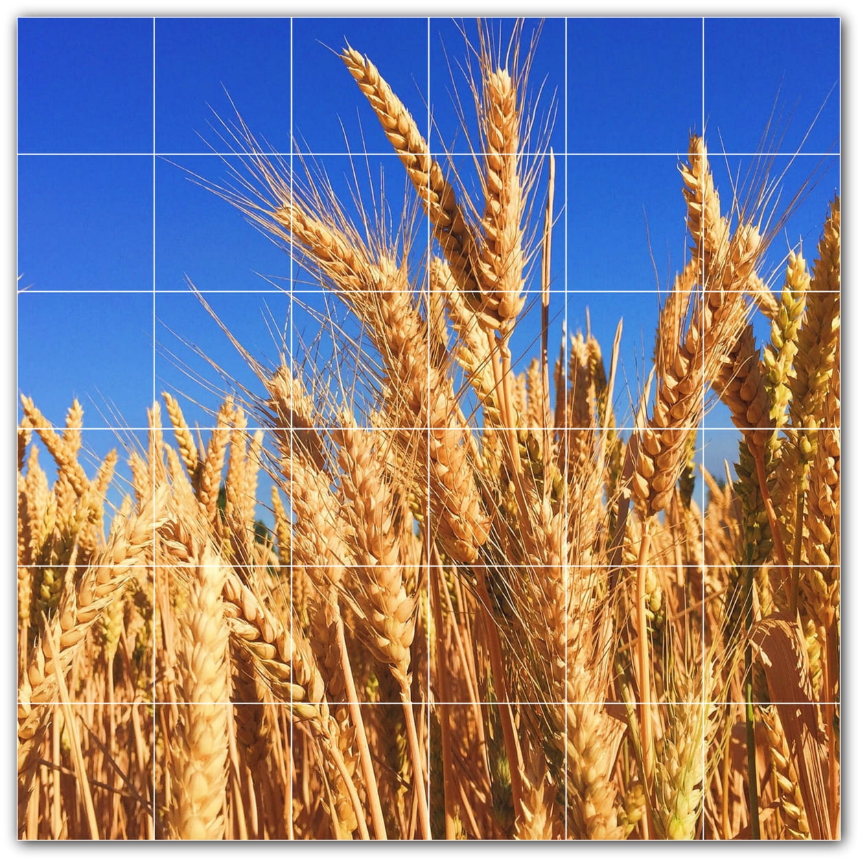 Picture-Tiles.com: Farm Ceramic Tile Wall Mural WAL500584-66M. 36"W x ...