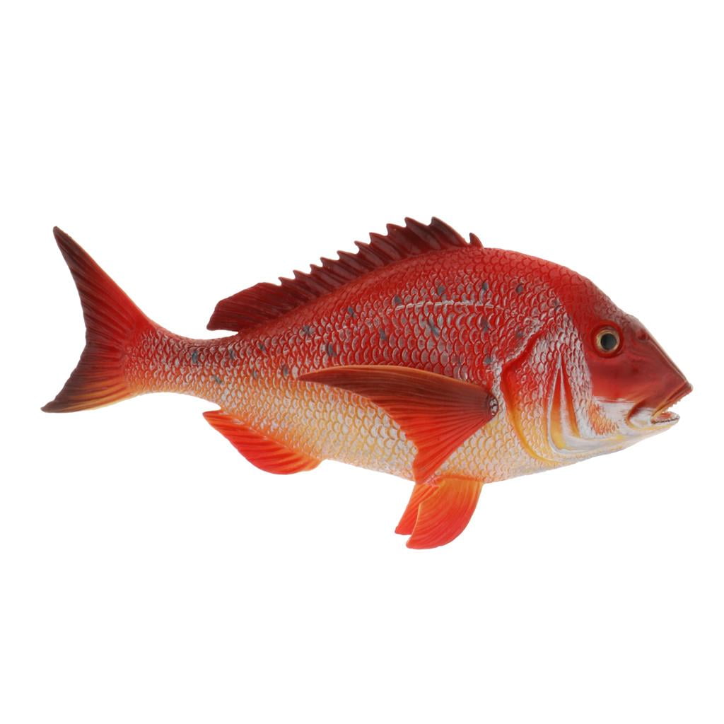 Realistic Static Animal Model toy children kids Gift Red Snapper ...