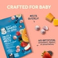 Gerber Fruit & Veggie Melts Truly Tropical Blend Stage 3 Toddler Snack ...