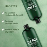Botanic Hearth Tea Tree Shampoo and Conditioner Set for Itchy and Dry ...