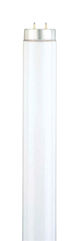 LFL BULB 40W T12 48" 2PK - Walmart.com