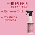 CLEAN DAY Multi-Surface Everyday Cleaner, Peppermint Scent, 16 Ounce ...
