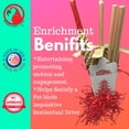 Bonka Bird Toys 2336 Chopsticks Medium Foraging Chew Shred Parrot Cage ...