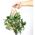 2 Packs Hanging Planters for Indoor Plants up to 6 in., Wall Plant ...