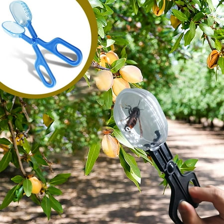 Portable Transparent Insect Catcher Scissor Indoor Outdoor Kids Fish ...