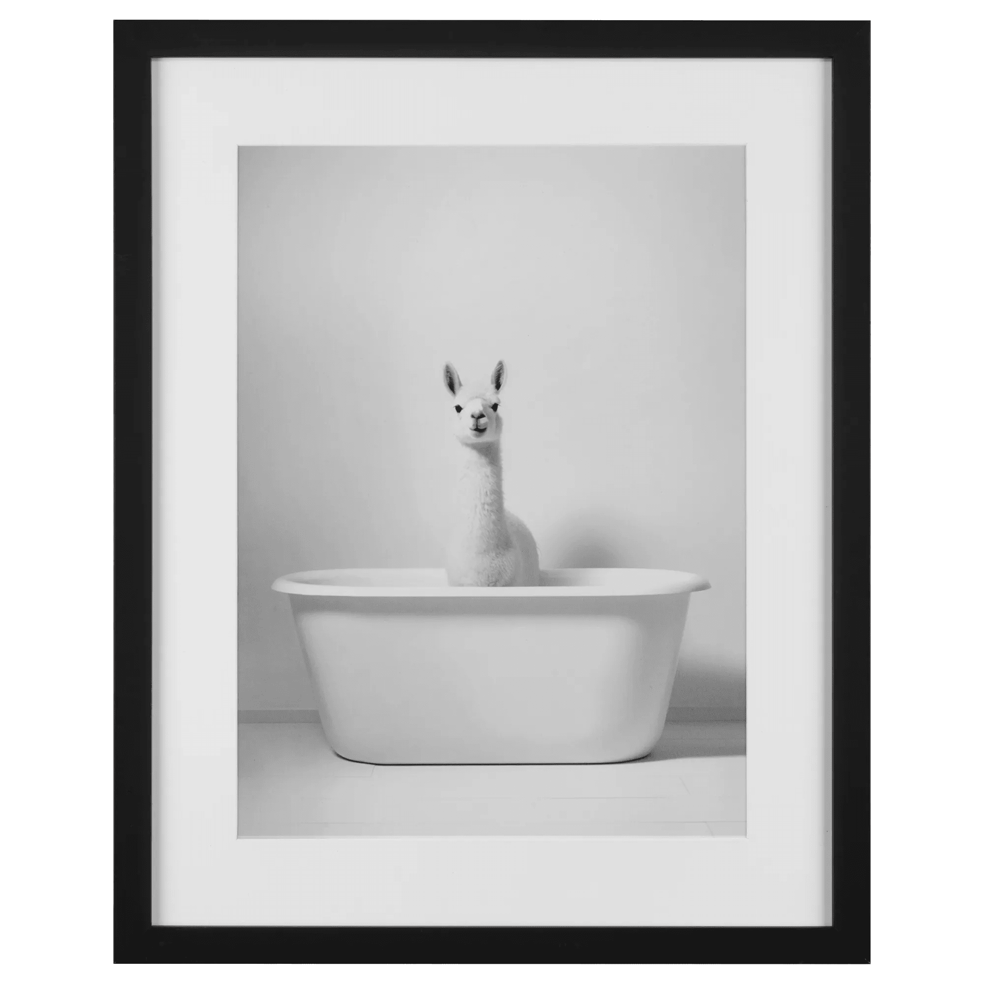 Click here for Bouclair White Llama In Bathtub Printed Framed Can... prices