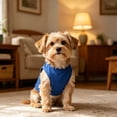 Pet Apparel Cozy And Stylish Everyday Wear For Dogs And Cats Breathable ...