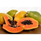 Seedville USA, 30 Papaya Melon Fruit Tree Seeds, Carica Papaya, Sun ...