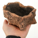 Bonsai Planter Gift Boxes Stump Log Small Flowerpots - Walmart.com