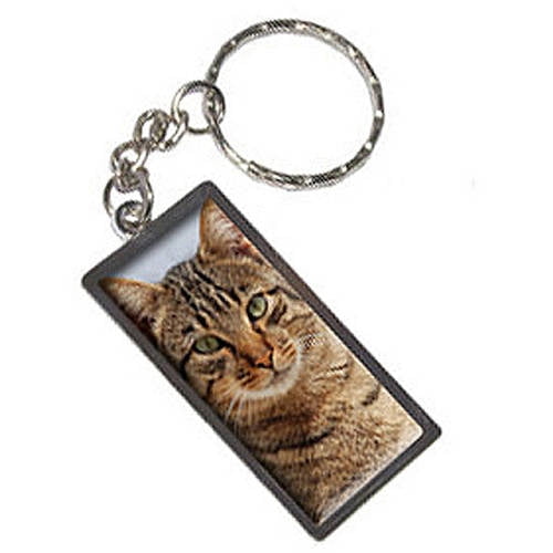 Brown Tabby Cat Face Keychain Key Chain Ring - Walmart.com