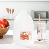 Great Value Distilled Water, 1 Gallon - Walmart.com