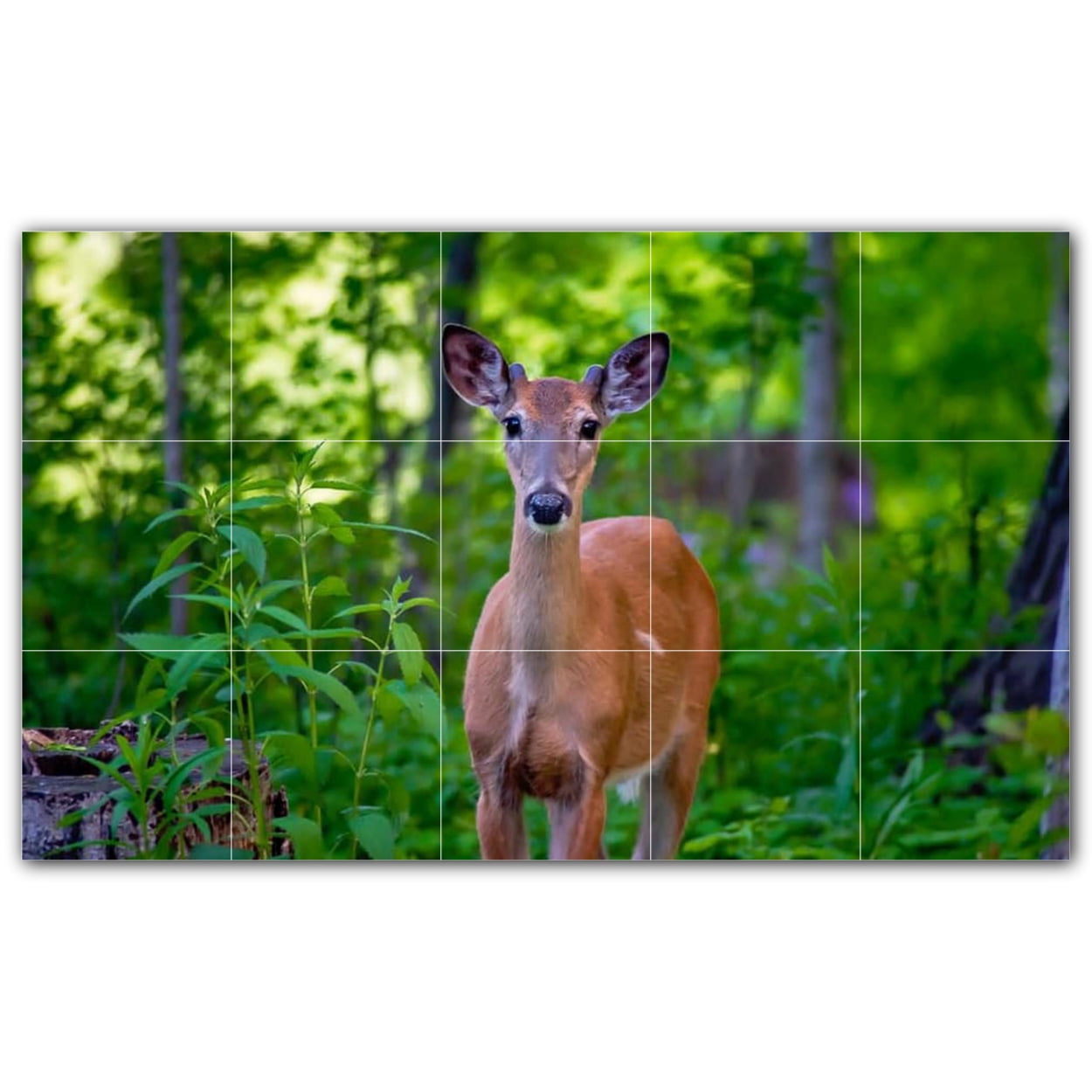 Picture-Tiles.com: Deer Ceramic Tile Wall Mural WAL500438-53M. 30"W x ...