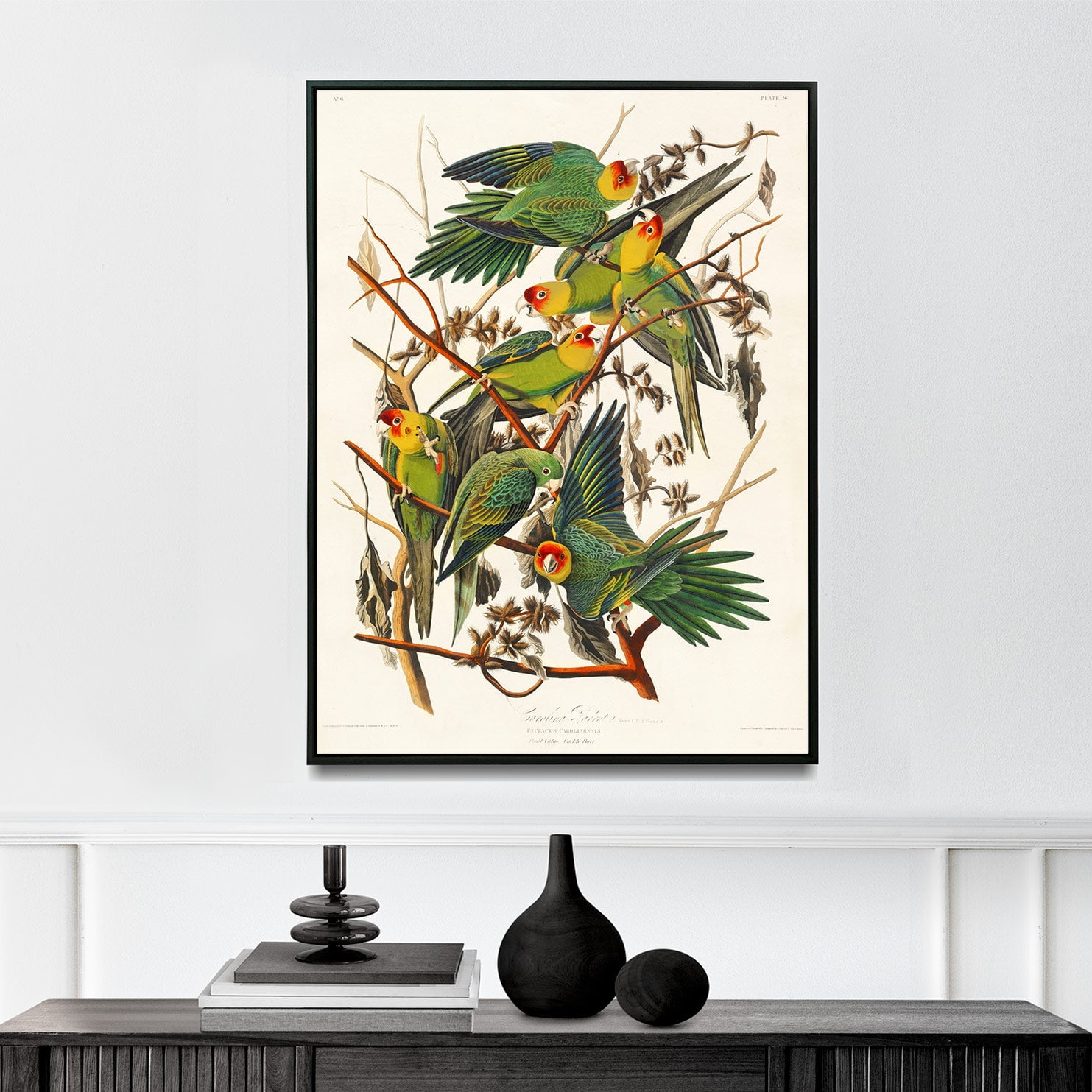 Carolina Parrot - 1827 | John James Audubon | Premium Fine Art Print ...