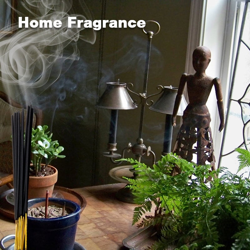 Click here for The Fern Group Incstks-Rain 20 Pk prices