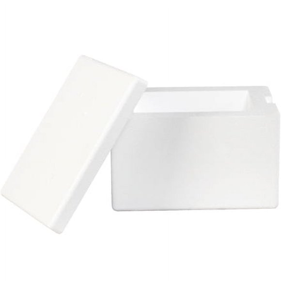 Foam Insulated Shipping Boxes