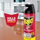 Raid Ant & Roach Killer 26, Lemon Scent, 20 oz - Walmart.com