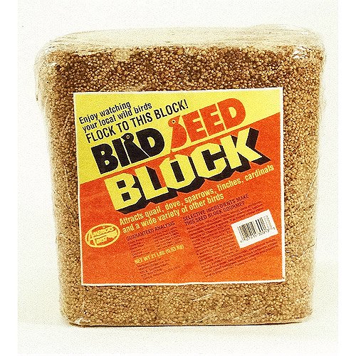 Bird Seed Blocks