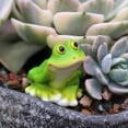 Miniature Frog Turtle Figurines Resin Animals Decor, Micro Terrarium ...