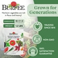 Burpee Heirloom Vegetable Plant Seeds (35 Variety Pack), Non-GMO ...