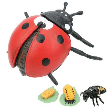 Model Toy, Simulation Model, Safe For Kids Children Ladybug | Walmart ...