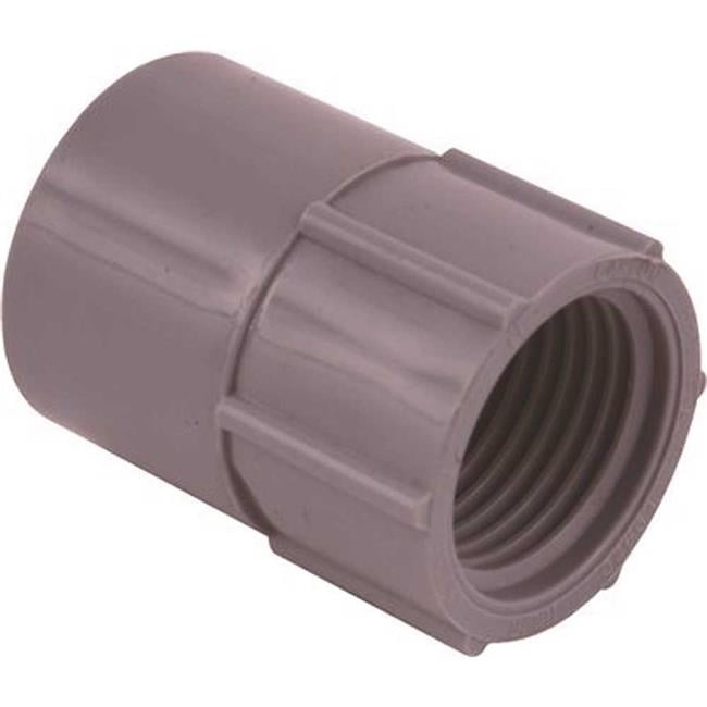 Thomas & Betts E942G 1.25 in. Carlon PVC Conduit Female Adapter ...