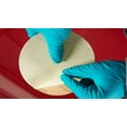 Buy Indasa 6" Rhynostick White Line PSA Solid Sanding Discs, 60 Series ...