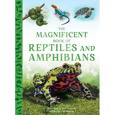 Amazing Life Cycles: Reptiles and Amphibians (Hardcover) - Walmart.com