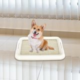 oshhnii Dog Potty Toilet Mesh Potty Tray, Anti Slip, Indoor Outdoor ...