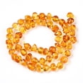 2Strand Natural Amber Beads Strands with Seed Beads Gold 3.5~6x6.5~7x6 ...