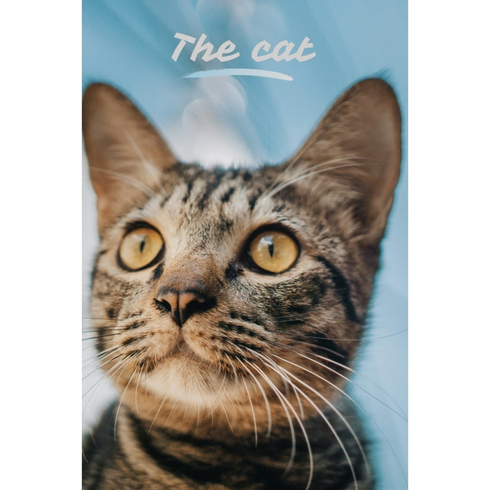 the-cat-address-book-large-print-addresses-book-with-names-address