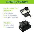 Wasabi Power Battery (2-Pack) and Triple Charger for GoPro HERO4, AHDBT ...
