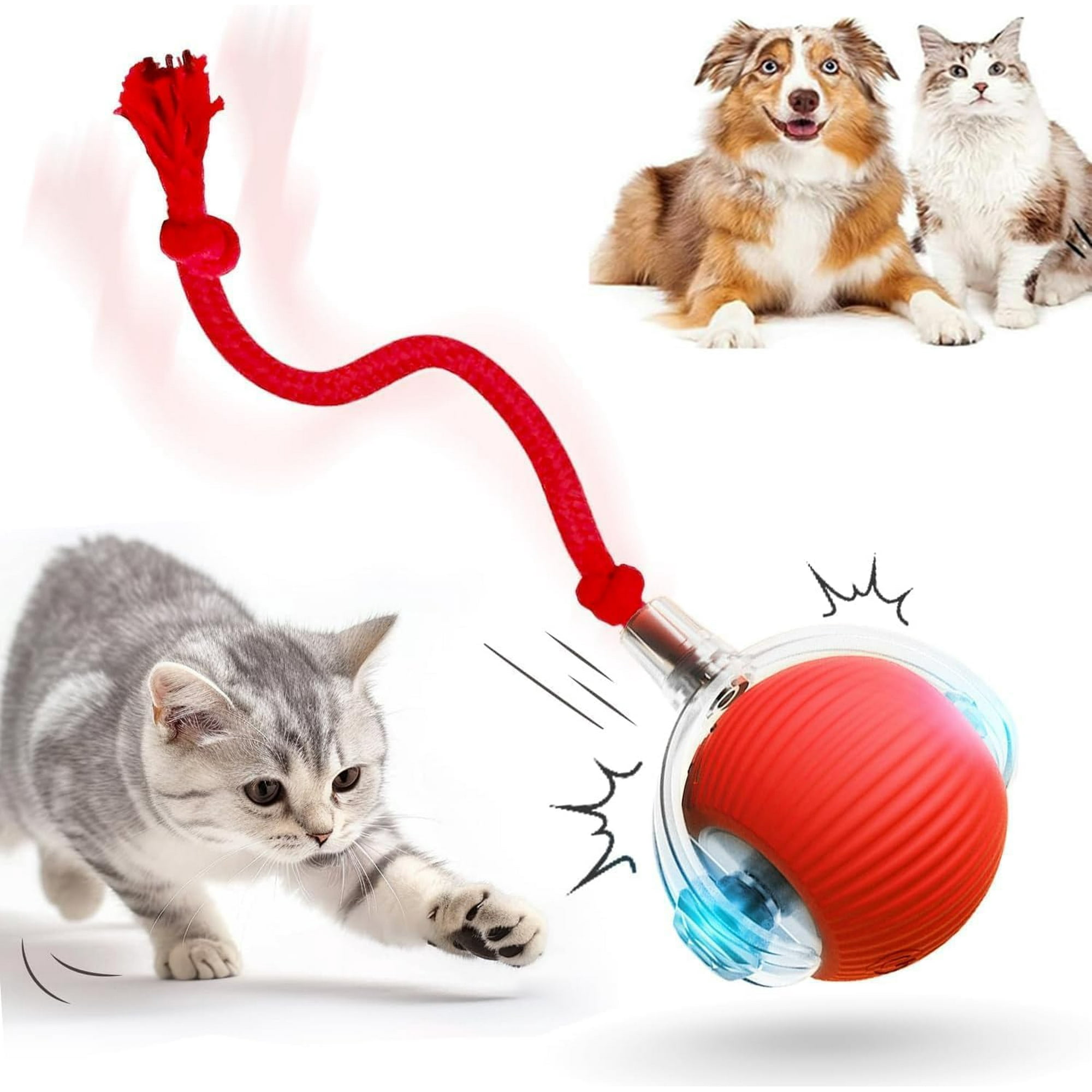 Click here for Salafire Self Rolling Dog Ball  Interactive Rollin... prices