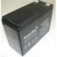 12V 10AH Currie eZip Trailz Electric Bike Battery - 2 Pack - Walmart.com