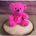 Paradise Pink Cuteness: 9-Inch Paradise Pink Colorama Plus+ Bear ...
