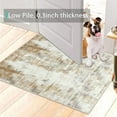 Capslpad 2x3ft Area Rug Modern Abstract Entryway Rugs Washable Low Pile ...