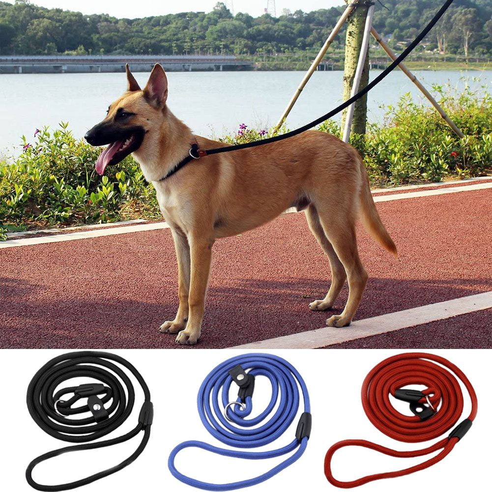 LINASHI Pet Dog Leash Slip Rope Lead Leash Braided Rope Training Lead ...