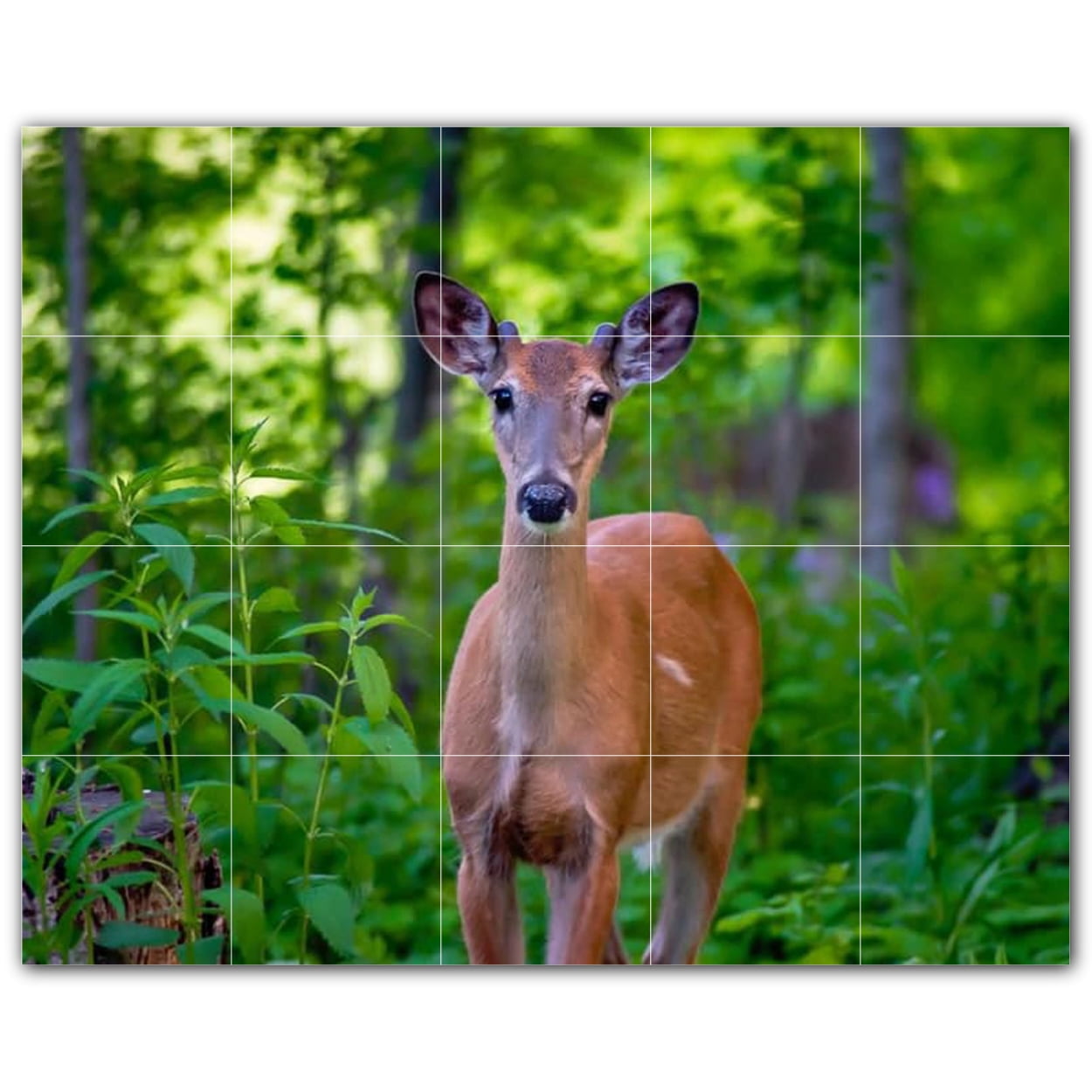Picture-Tiles.com: Deer Ceramic Tile Wall Mural WAL500438-54M. 30"W x ...