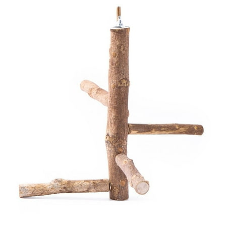 Natural Wild Prickly Pear Tree Stick For Thrush Parrot Bird Standing ...