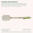 EcoTools Loofah Bath Brush - Walmart.com