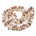 5 Strand Natural Freshwater Shell Beads Strands Chips Seashell Color 0. ...