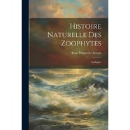 The Mysteries of the Great Cross of Hendaye : Alchemy and the End of ...