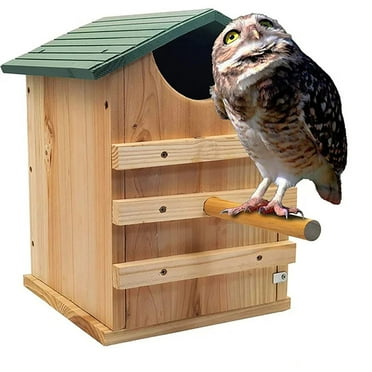 Vundahboah Amish Goods Screech Owl House Box for Nesting- Handmade in ...