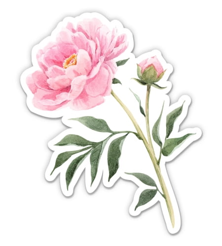 Peony - 8" Vinyl Sticker - For Car Laptop I-Pad - Waterproof Decal ...