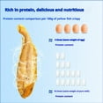 Yellow Fish Crisps - 5 Packs (30g Each) - Crispy to the Bone - Walmart.com