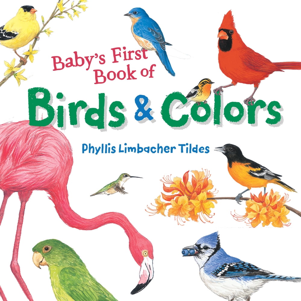 Pre-Owned Baby's First Book of Birds & Colors (Board book) 1580897428 ...