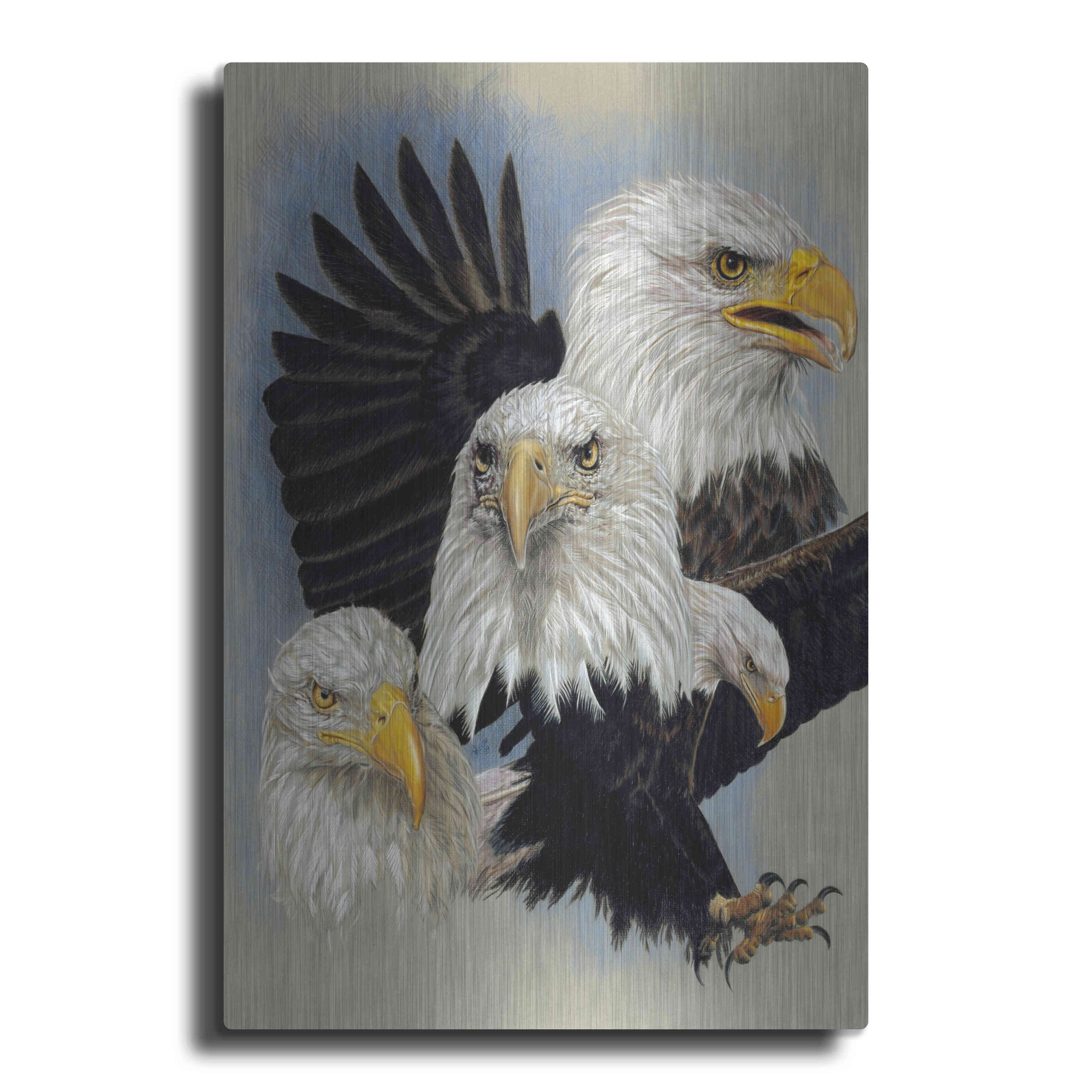 Luxe Metal Art 'Valor' by Barbara Keith, Metal Wall Art, 16"x24 ...
